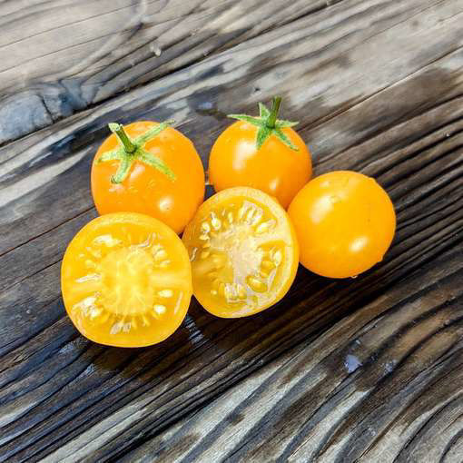 Chello Micro Dwarf Tomato-Meraki Seeds