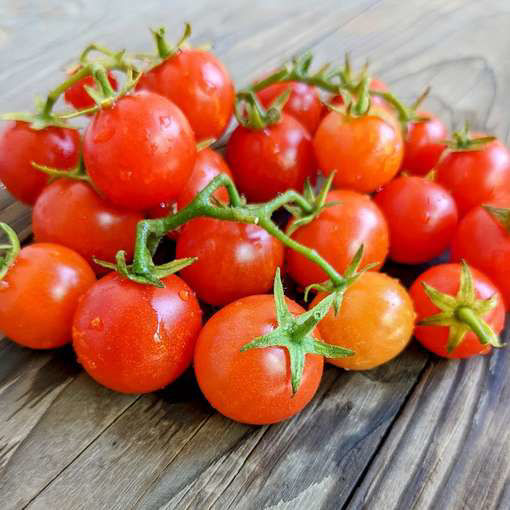 Jip and Janneke Micro Dwarf Tomato-Meraki Seeds