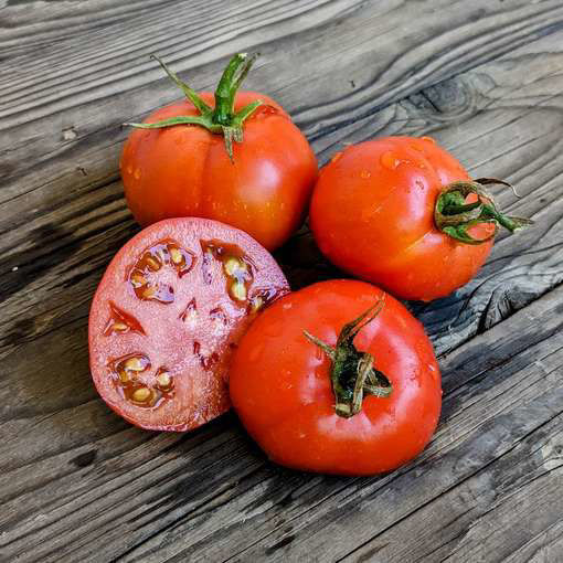 Explosion Bush Tomato-Meraki Seeds