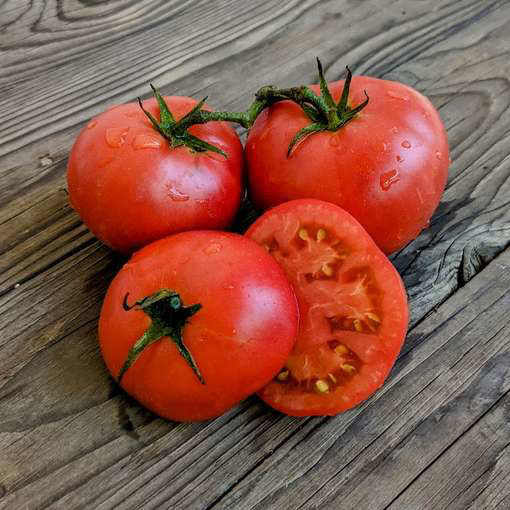 Husky Pink Dwarf Tomato-Meraki Seeds