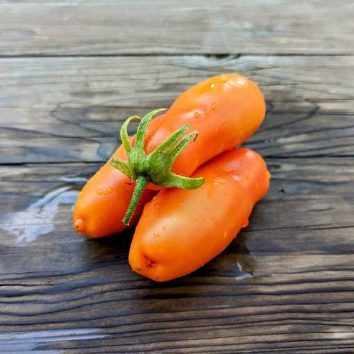 Royal Fingers Dwarf Tomato-Meraki Seeds