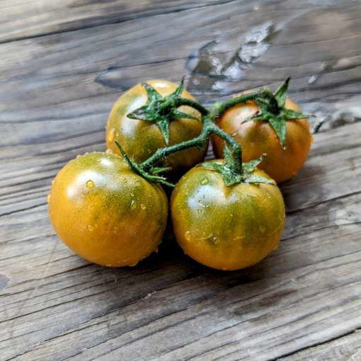 Soul Patch Dwarf Tomato-Meraki Seeds