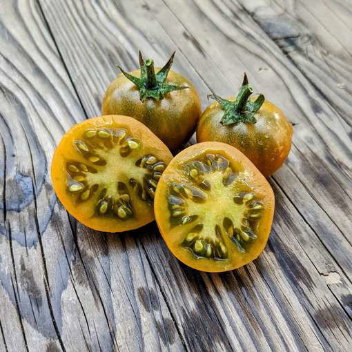 Soul Patch Dwarf Tomato-Meraki Seeds