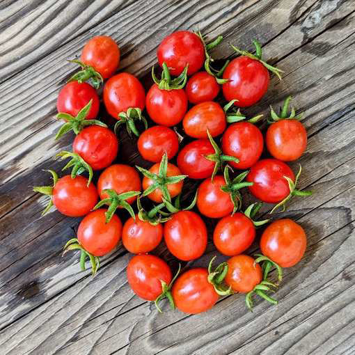 Angelle Cherry Tomato-Meraki Seeds