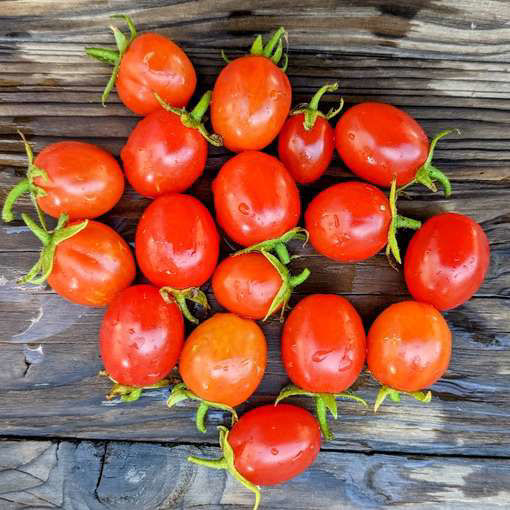 Angelle Cherry Tomato-Meraki Seeds