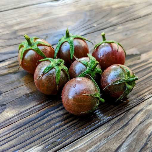 Cherokee Purple Cherry Tomato-Meraki Seeds