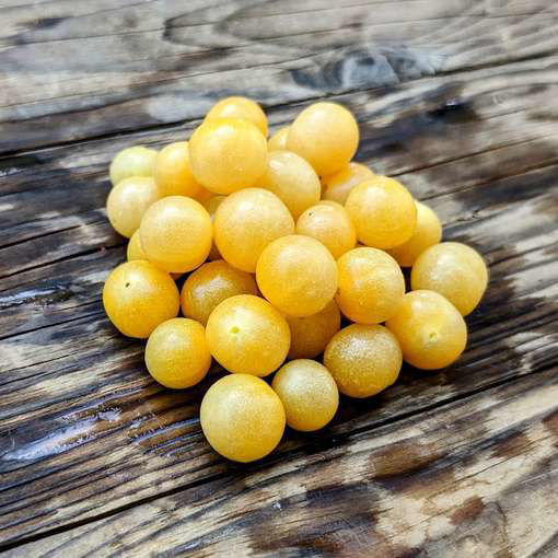 Honey Bubbles Cherry Tomato-Meraki Seeds