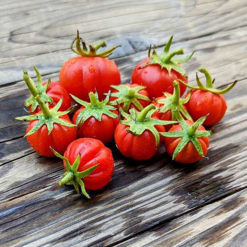 Ballen Cherry Tomato-Meraki Seeds
