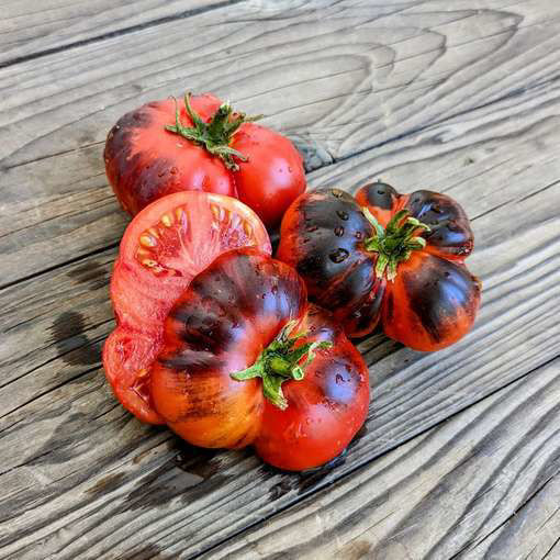 Dark Galaxy Tomato-Meraki Seeds