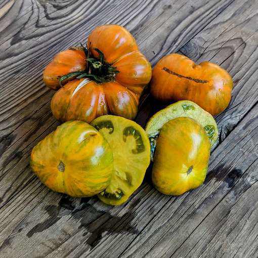 Kozula 179 Tomato-Meraki Seeds