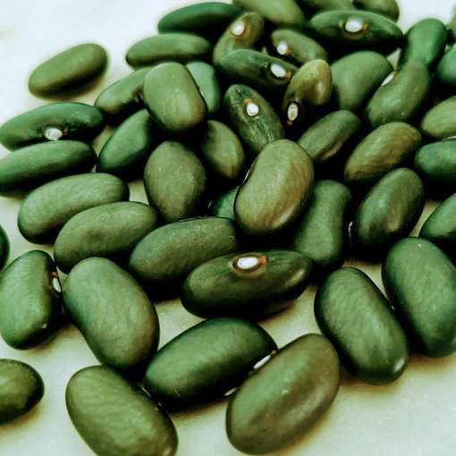 Mbombo Pole Bean-Meraki Seeds