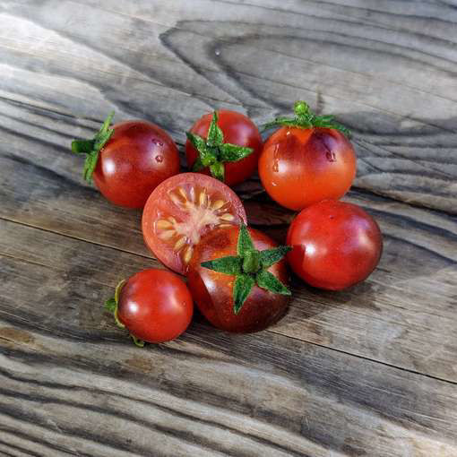 Inkspot Micro Dwarf Tomato-Meraki Seeds