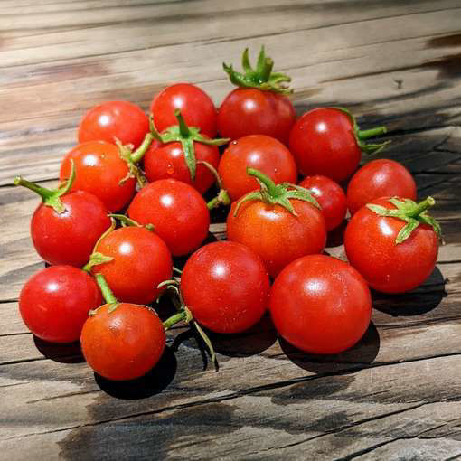 Hundreds Thousands Tomato-Meraki Seeds