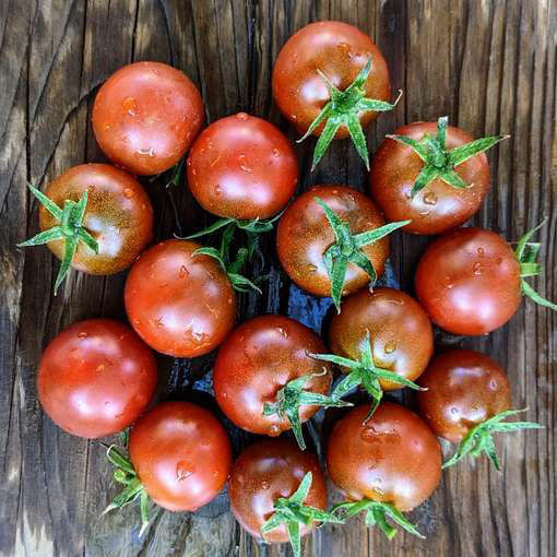 Dark Dwarf Multiflora Micro Dwarf Tomato-Meraki Seeds