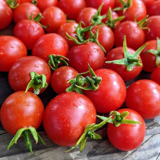 Decotomate Micro Dwarf Tomato-Meraki Seeds