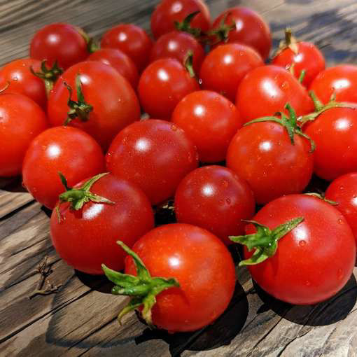 Nepas II Micro Dwarf Tomato-Meraki Seeds