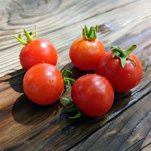 Pummelfee Micro Dwarf Tomato-Meraki Seeds