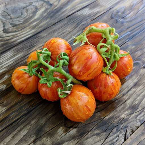 Bonte Tigret Micro Dwarf Tomato-Meraki Seeds