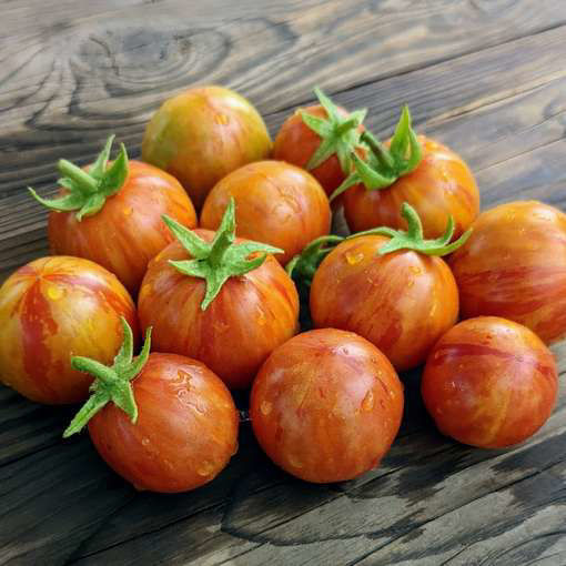 Tigret Red Tomato-Meraki Seeds