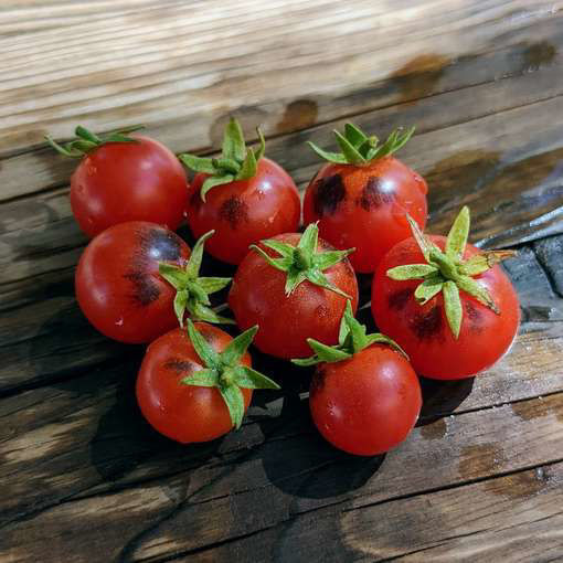 Superbunny Micro Dwarf Tomato-Meraki Seeds