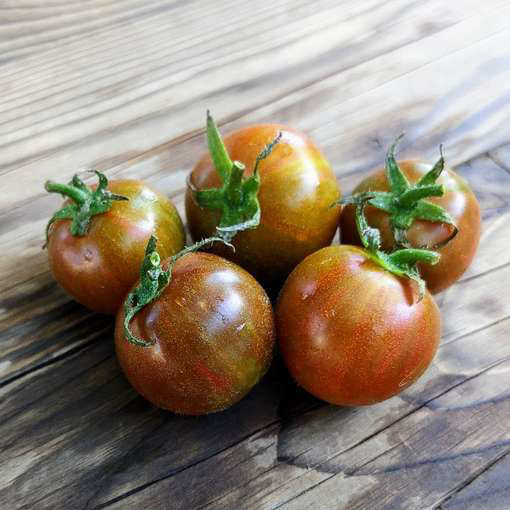 Dark Stripe Dwarf Tomato-Meraki Seeds