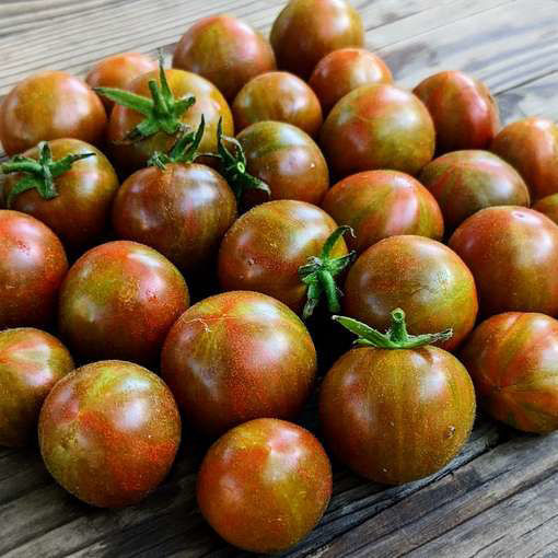 Dark Stripe Dwarf Tomato-Meraki Seeds