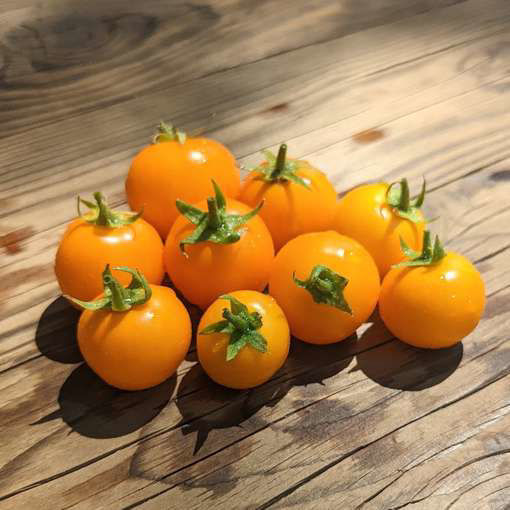Floragold Basket Micro Dwarf Tomato-Meraki Seeds