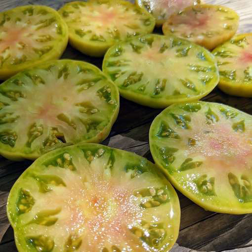 Emerald Giant Dwarf Tomato Project-Meraki Seeds