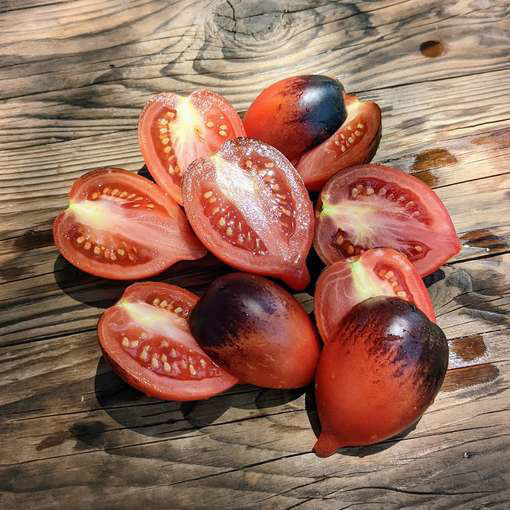 Anne’s Dusky Rose Plum Dwarf Tomato Project-Meraki Seeds