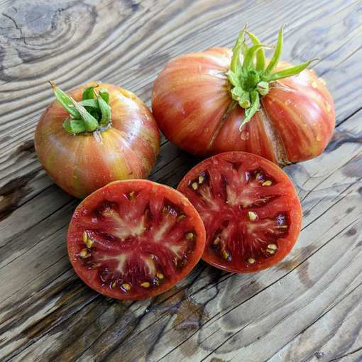 Cherokee Black Tiger Dwarf Tomato-Meraki Seeds