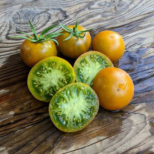 Devil’s Garden Dwarf Tomato-Meraki Seeds