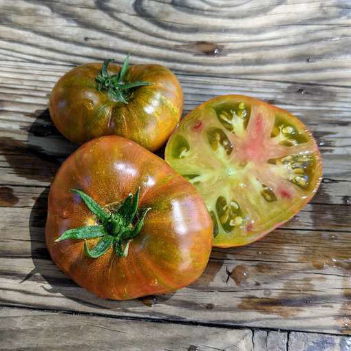 Funky Viper Dwarf Tomato-Meraki Seeds