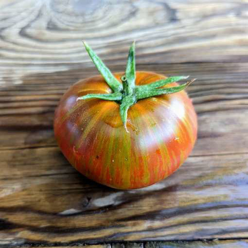 Funky Viper Dwarf Tomato-Meraki Seeds