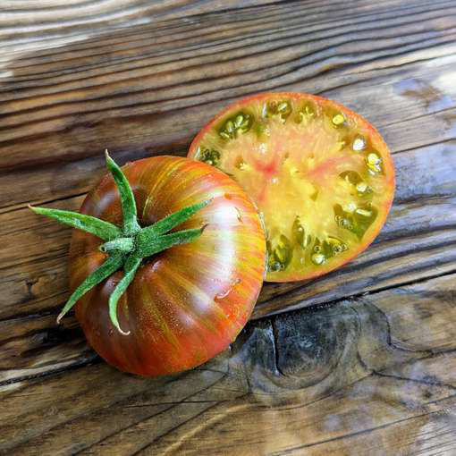 Funky Viper Dwarf Tomato-Meraki Seeds