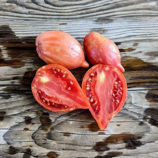 Lady Madonna Dwarf Tomato-Meraki Seeds