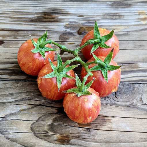 Raspberry Beret Dwarf Tomato-Meraki Seeds
