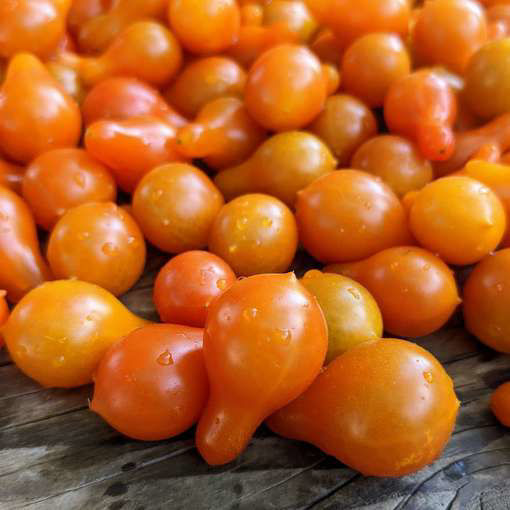 Red Dwarf Romanian Cherry Tomato-Meraki Seeds