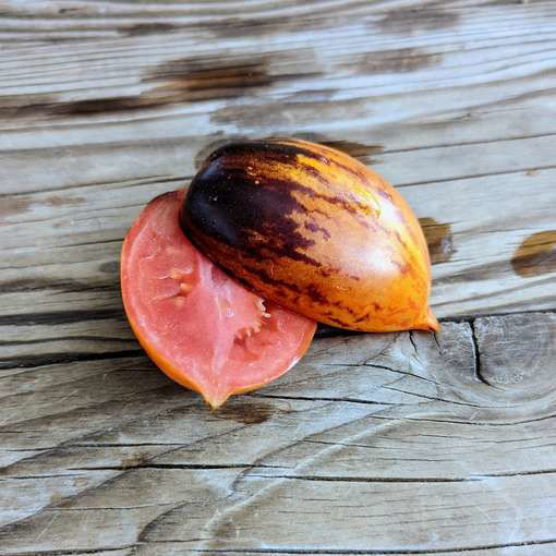 Shadow Boxing Tomato-Meraki Seeds