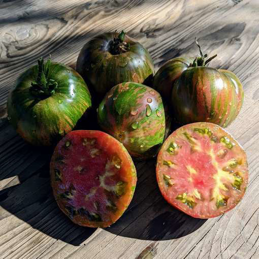 Rebel Starfighter Blane’s Moonlight Tomato-Meraki Seeds