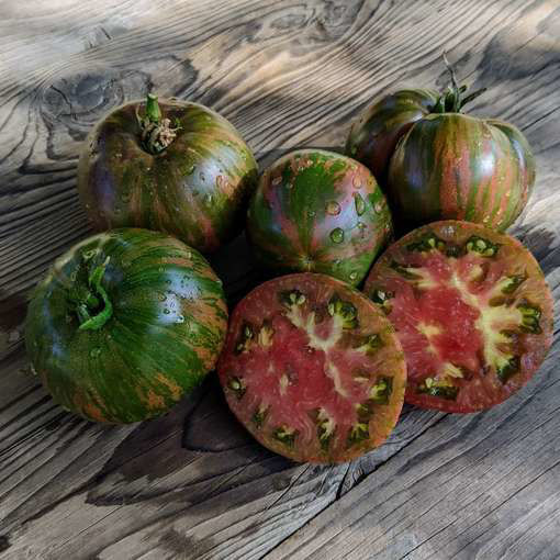 Rebel Starfighter Blane’s Moonlight Tomato-Meraki Seeds