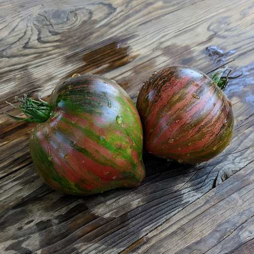 Rebel Starfighter Prime Heart Tomato-Meraki Seeds