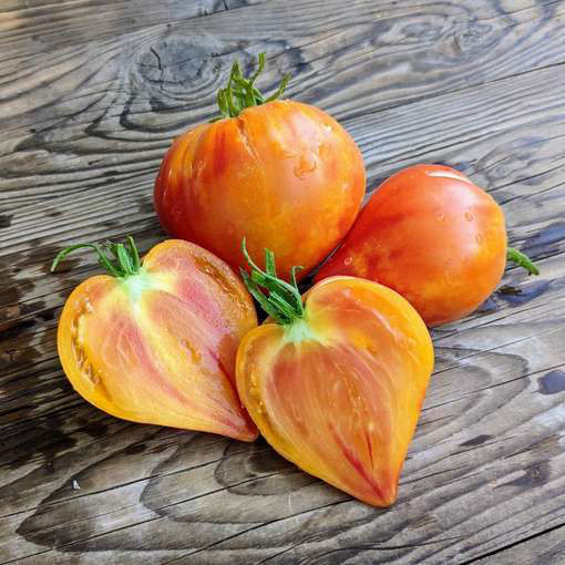 Midnight Sun Beefsteak Tomato-Meraki Seeds