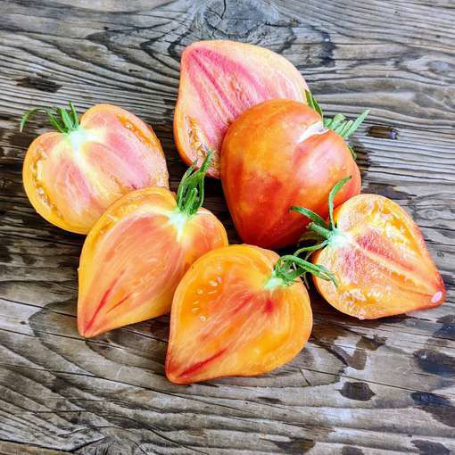 Midnight Sun Beefsteak Tomato-Meraki Seeds