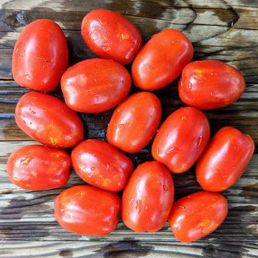 A Grappoli Corbarino Longkeeper Tomato-Meraki Seeds