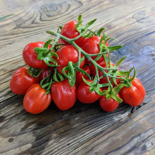 Aosta Valley Select Longkeeper Tomato-Meraki Seeds