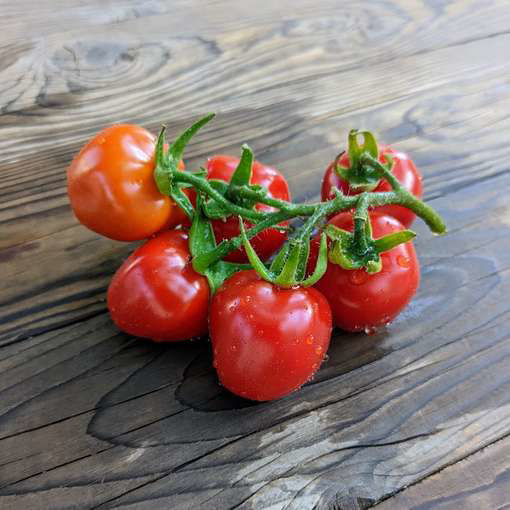 Aosta Valley Select Longkeeper Tomato-Meraki Seeds