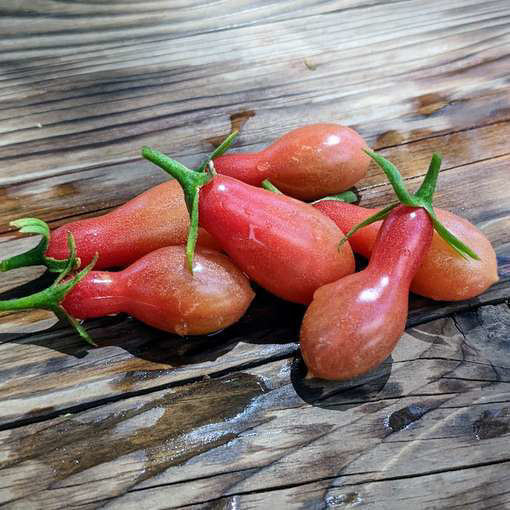 Elf Tears Cherry Tomato-Meraki Seeds