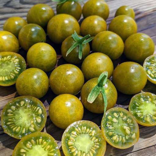 Pocket Star Cherry Cherry Tomato-Meraki Seeds