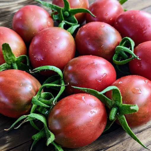 Ace’s High Cherry Tomato-Meraki Seeds