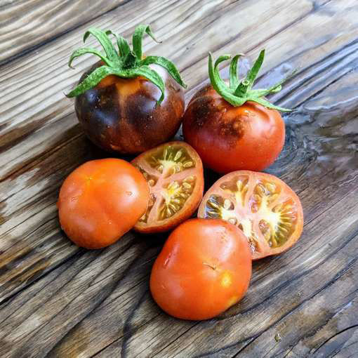 Clackamas Blueberry Cherry Tomato-Meraki Seeds